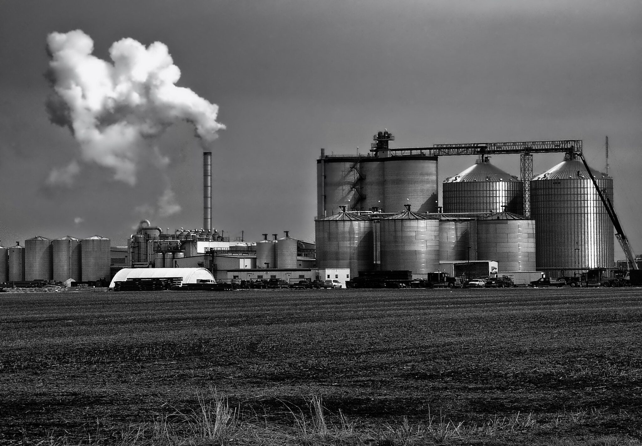 La biomasse - Les explorateurs de l'énergie